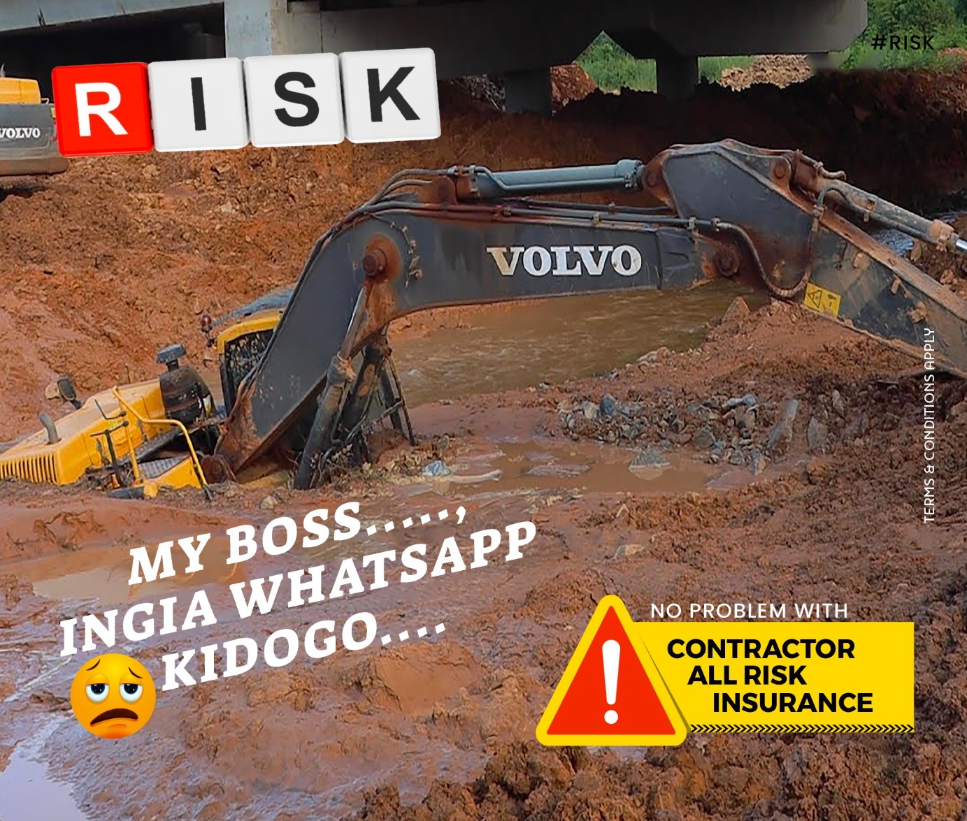 Contractors All Risk Insurance - Recolte Limited